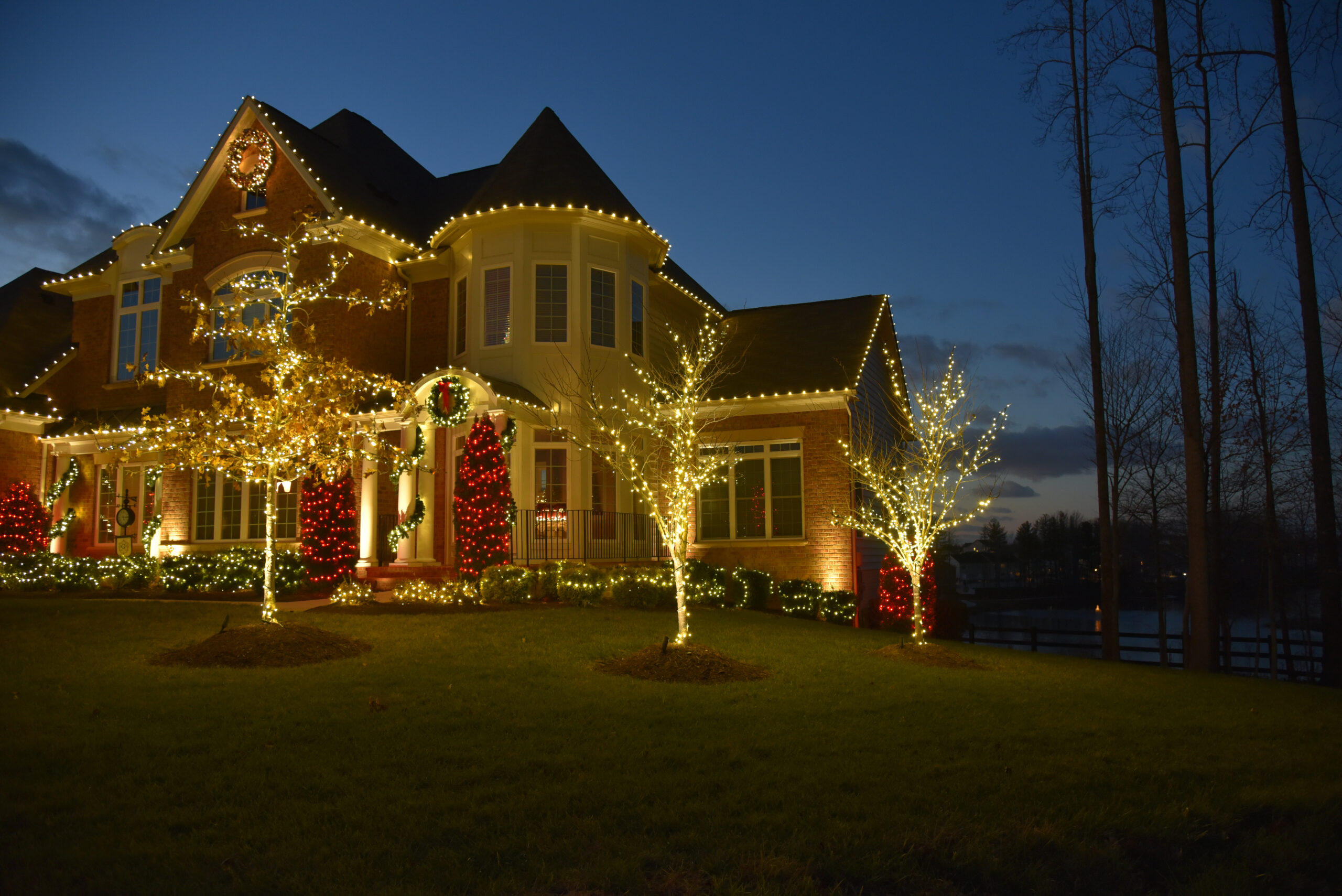 The Best Outdoor Christmas Lights to Brighten Your Landscape - Live ...