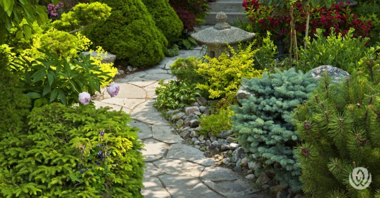 Fall in Love with Your Garden with this DIY Fall Gardening Guide - Live ...